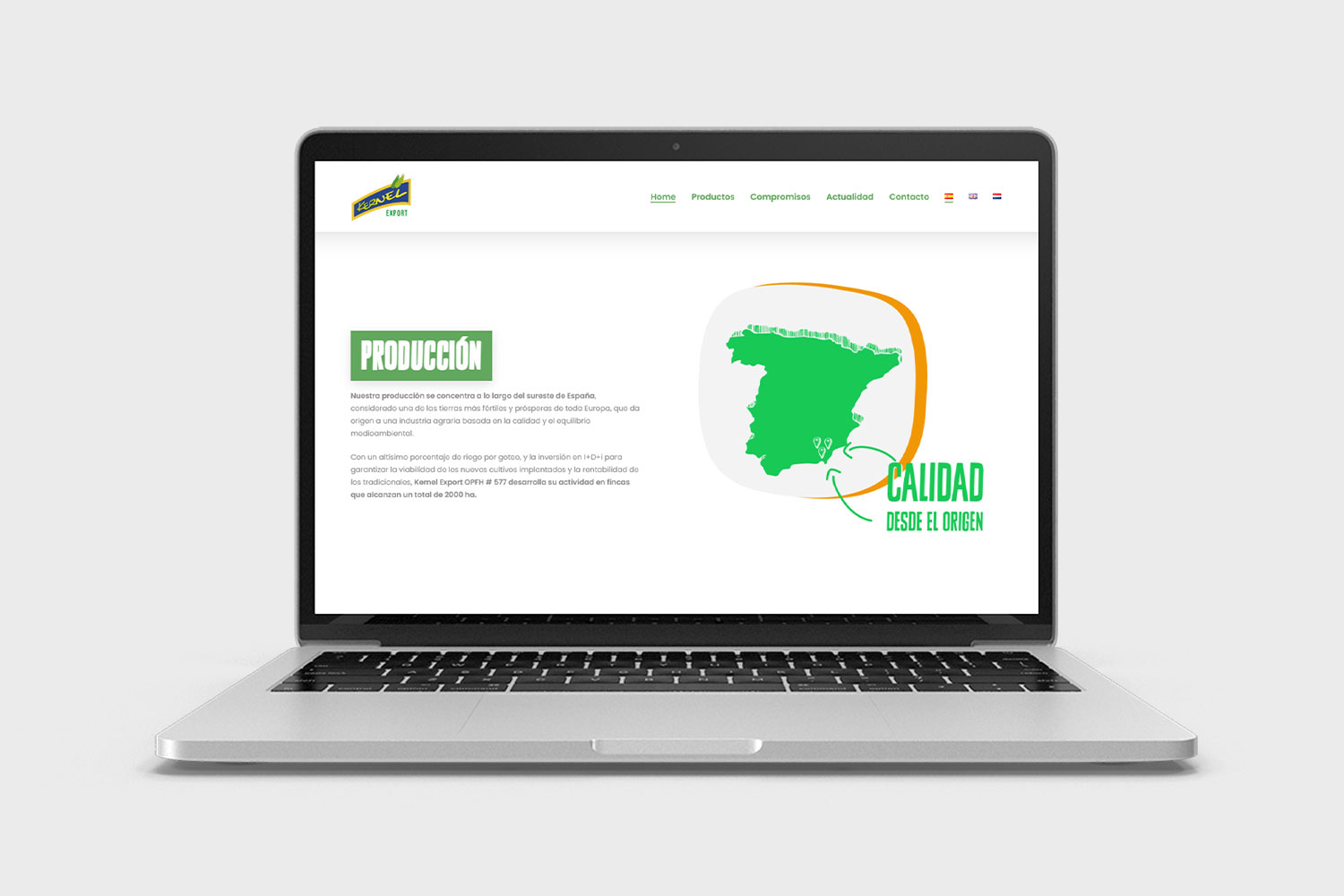 Web Kernel Export - Lateral