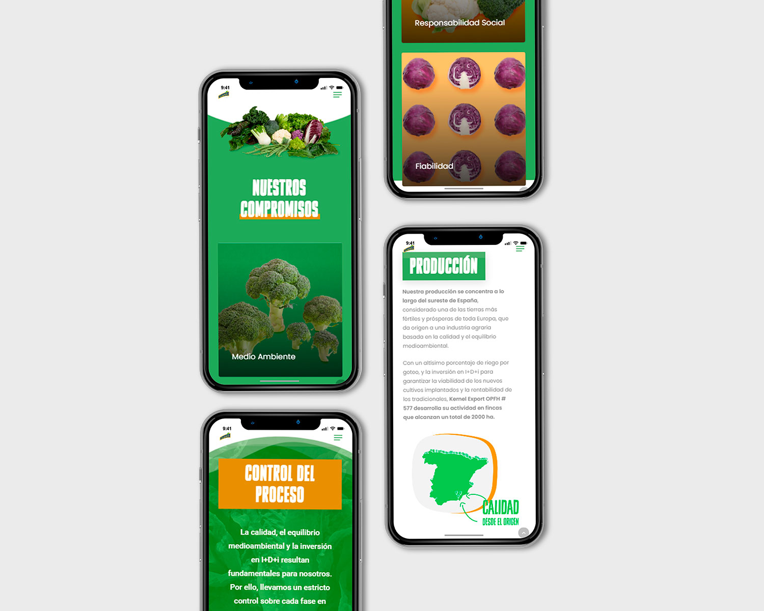 Web Kernel Export - Lateral